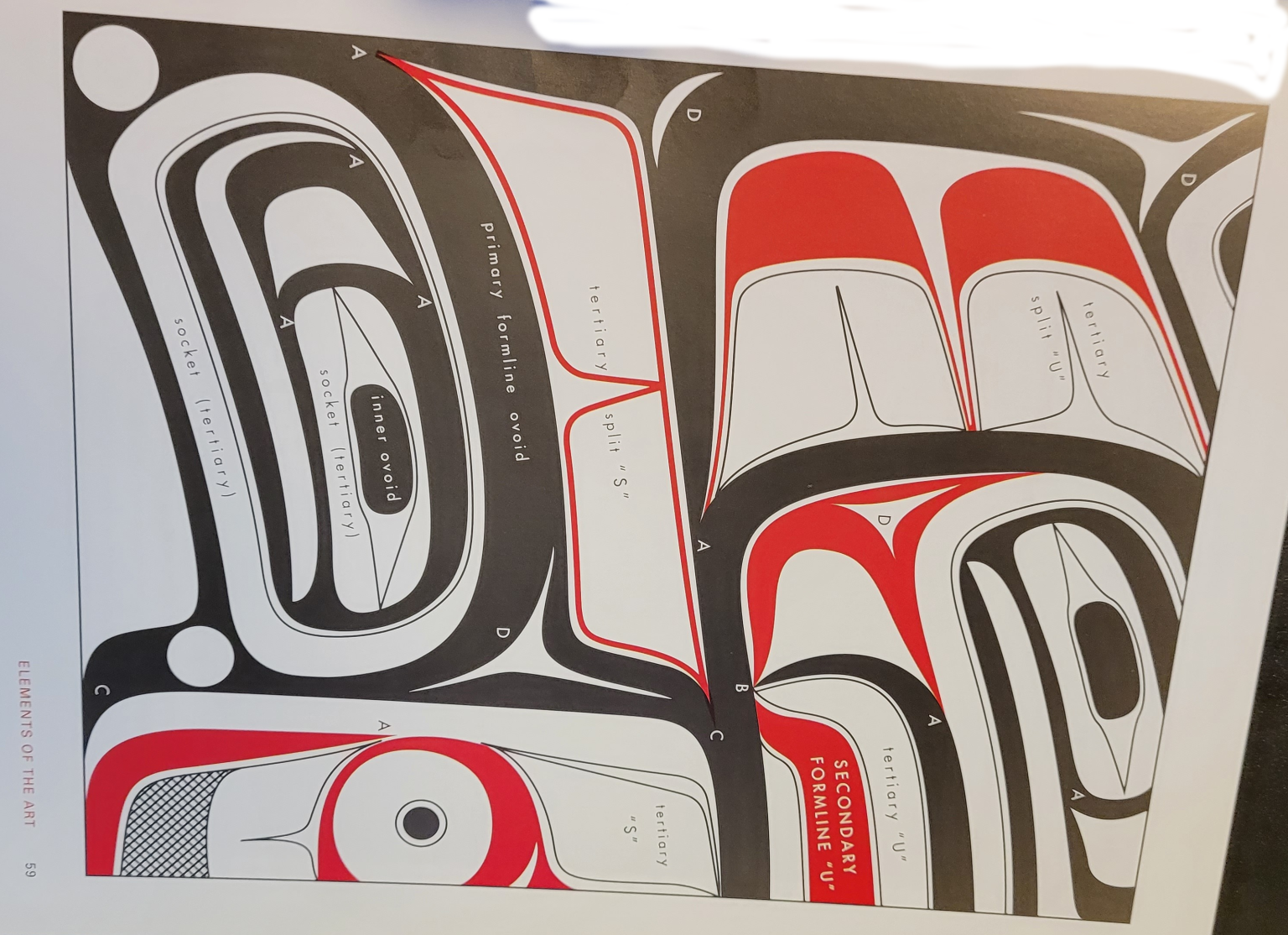 1.5 Formline Style – Encountering the Arts