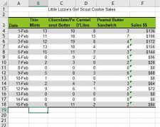 Excel Chapter 1 – Business Computers 365