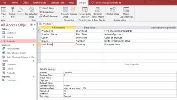 Access Chapter 1 – Business Computers 365