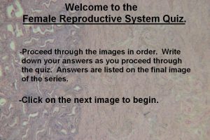 Quiz – Female Reproductive System – Histology Atlas for Anatomy and ...