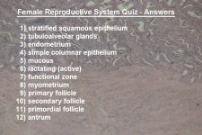 Quiz – Female Reproductive System – Histology Atlas for Anatomy and ...